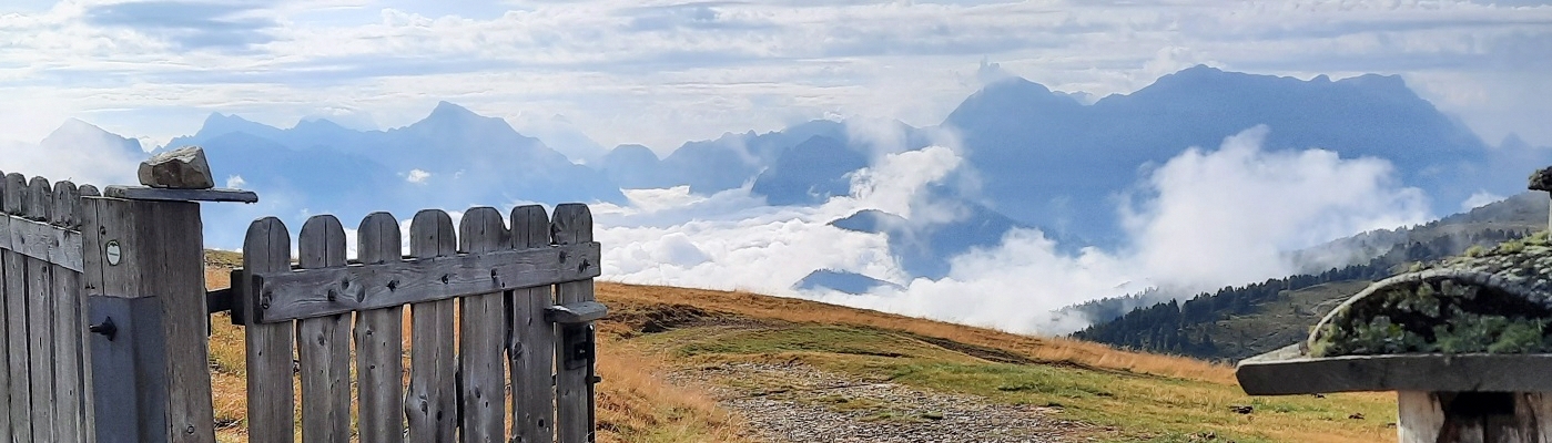 Grenzen meiner Vorstellung • staunen & stolpern